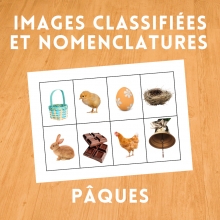 Images classifiées et nomenclatures PAQUES
